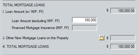 2521 Completing the Lender Loan Information screens
