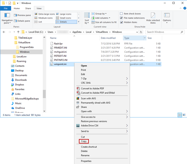 6002 Copying the winpoint.ini file