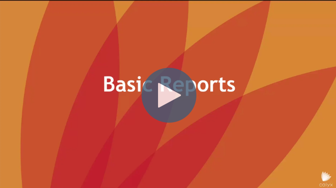 Basic Reports Webinar